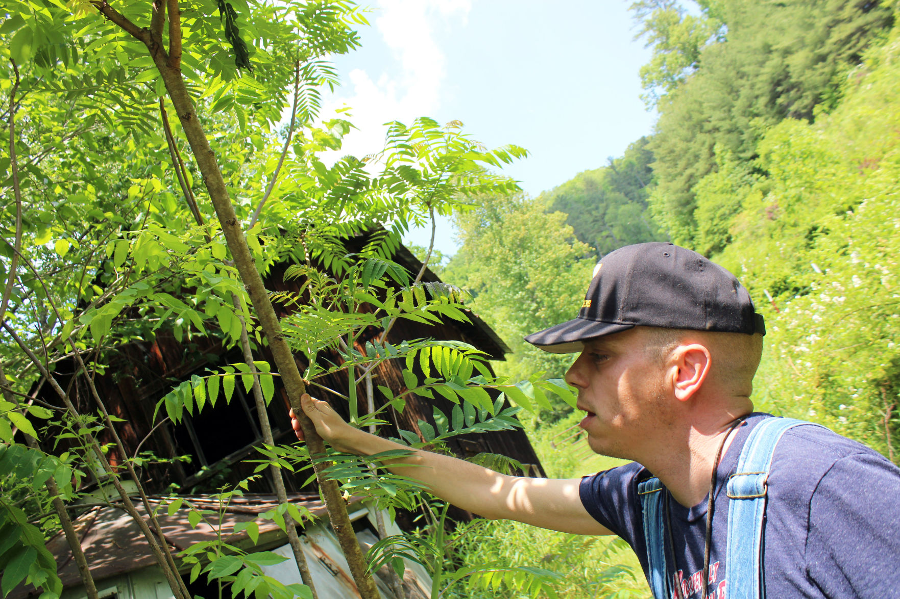 David Grasty’s School of Bushcraft and Survival – Ourland